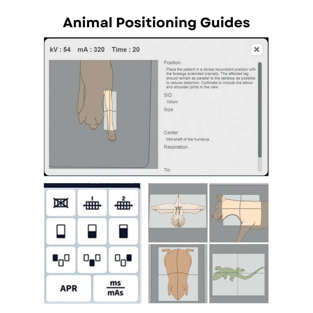 Veterinary X-Ray Integrated Table Top Radiography System