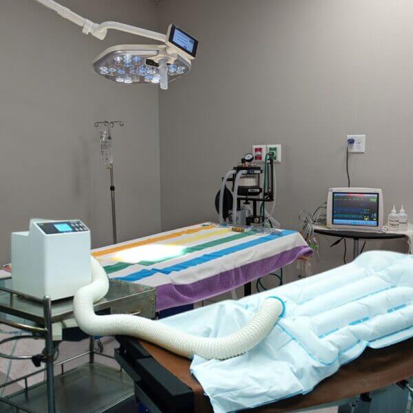 Patient Warming & Positioning - Infinium Veterinary