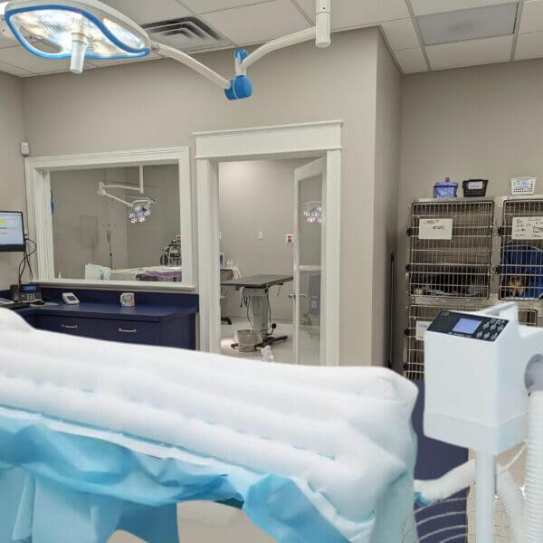 Patient Warming & Positioning - Infinium Veterinary